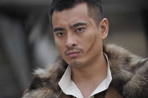 陈龙演员龙武打演员龙大山谷图库