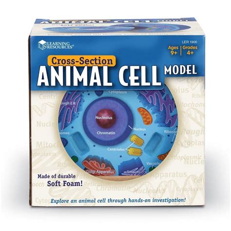 Sectiunea Celulei Animale
