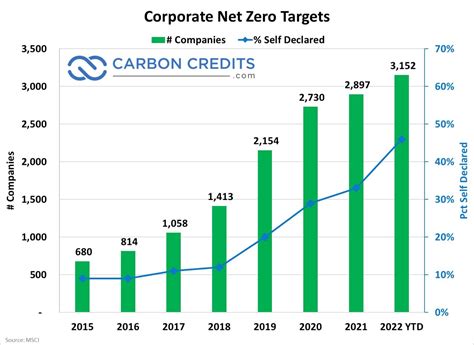 Are Carbon Offsets a Scam? Key Points to Consider
