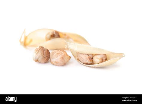 Dried Kabuli Chickpea Pods Two Split Chickpea Pod Shells With Dried