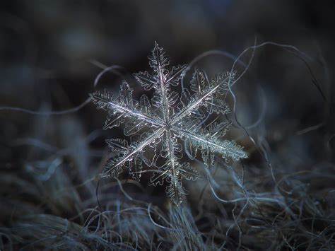 12 Stunning Snowflake Photos You Wont Believe Were Taken By An Amateur