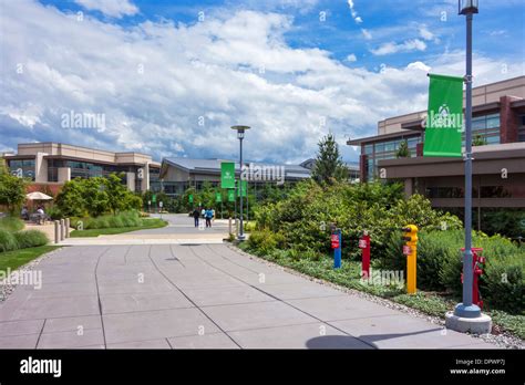 Microsoft Head Office Campus In Redmond Washington Usa Stock Photo