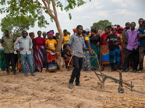 Zambian Breweries Kicks Off 2023 Sorghum Planting Season In Zambia