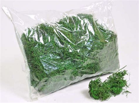 Curly Moss Green 1kg Decofleur