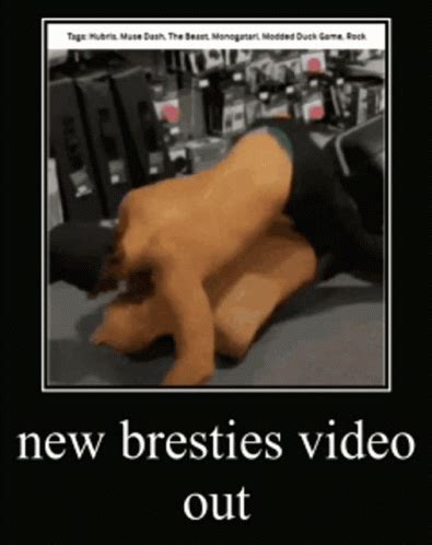 Sex Funny  Sex Funny Meme Discover And Share S