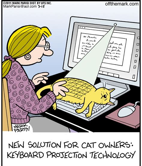 Job Advice For Front End Web Dev Album On Imgur