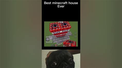 Best Minecraft House Ever 🥶youtubeshorts Minecraftshorts Minecraft
