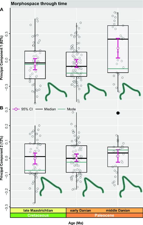 Regional Morphospace Time Series A B Jittered Box Plots Visualizing