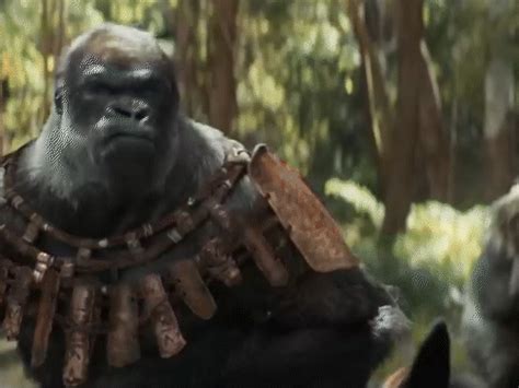 Shrikanth Earns Well On Weekdays Too શ્રીકાંતની કામકાજના દિવસોમાં