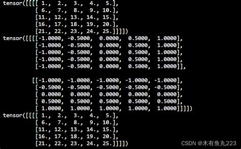 pytorch中的f grid sample使用方法及应用代码 align corners参数详细解释 pytorch weixin