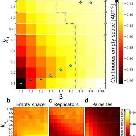 The Amount Of Available Empty Space For Waves Predicts The Phase