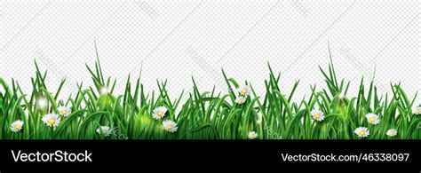 Grass Overlay Vector Images Over 880