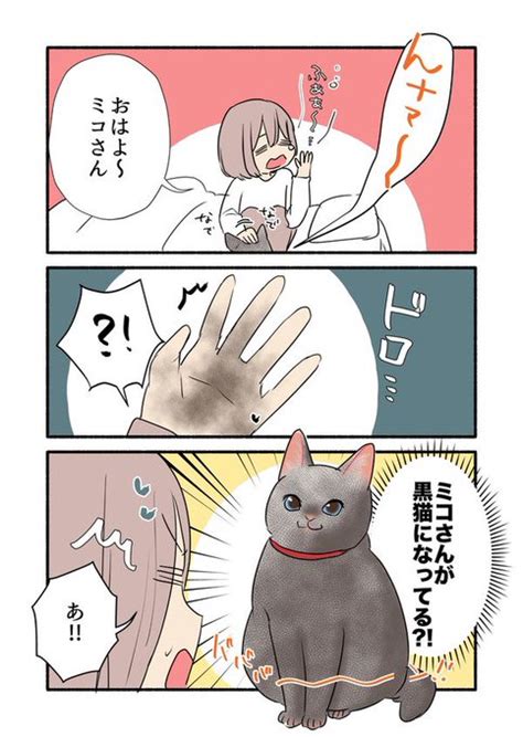 朝起きたら白猫が黒猫になってた話（22） 久川 はる🍗「宝姉妹」新連載🎉 さんのマンガ ツイコミ仮