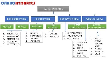 Carbohydrates Classification Monosaccharides Structure Carbohydrate