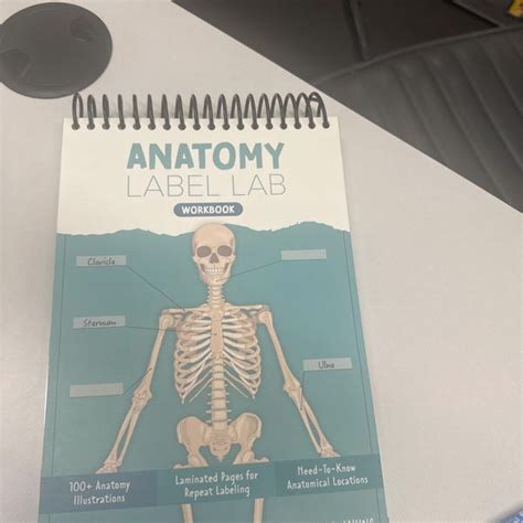 Lab Value Cheat Sheet Memory Tricks 2 Pages 2023 Edition Nursing Notes Digital