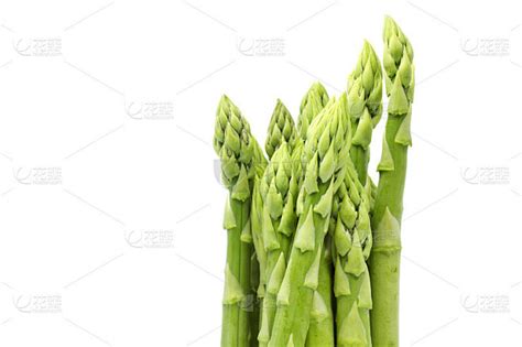 白色背景下的新鲜绿色芦笋