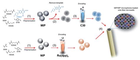Fiber Optic Array Using Molecularly Imprinted Microspheres For Antibio Szphoton