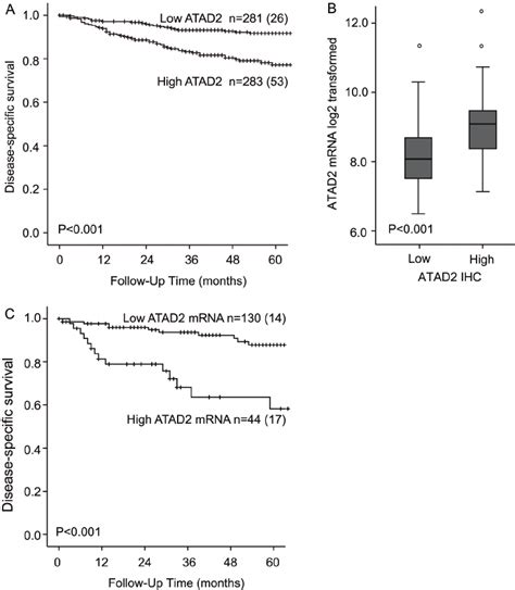 Atad2 Predicts Poor Prognosis In Endometrial Cancer High Expression Of