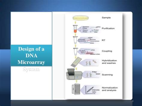 Dna Microarray Dna Chips