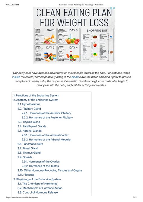 Solution Endocrine System Anatomy And Physiology Nurseslabs Studypool