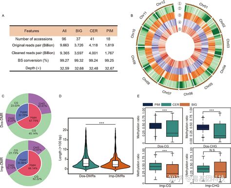 易基因：群体分析揭示了dna甲基化在番茄驯化和代谢多样性中的作用｜组学研究 深圳市易基因科技 博客园