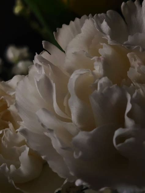 Mining Process Flow Chart