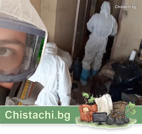 Коректни услуги за почистване след котки Chistachi Bg