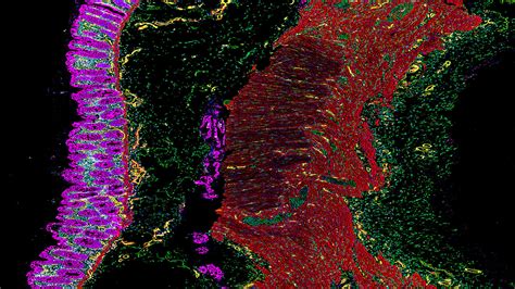 Spatial Technologies