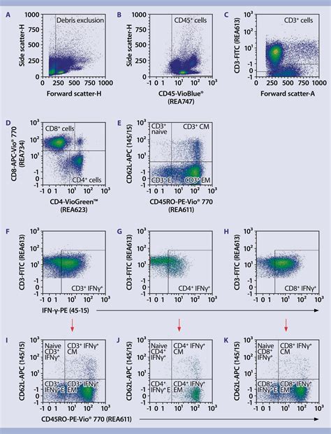 Immunophenotyping Virus Specific T Cells Protocol Miltenyi Biotec Usa