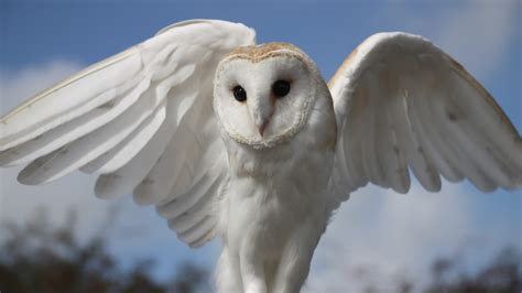 Microlearning Lms Improve Engagement And Retention Workplan