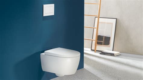 Vase Wc şi Capace Pentru Vase Wc Geberit Ro