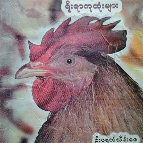 ၾကက္ေမြး မွတ္စု