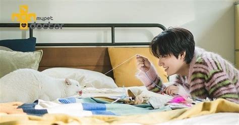 이민호 마이펫닥터와 전속모델 계약 체결