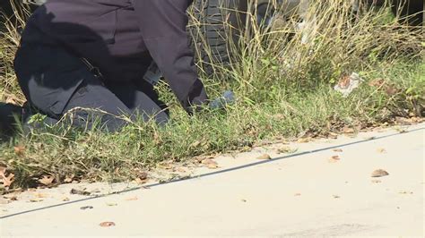 Man Arrested After Shooting Alleged Trespasser Charged With Aggravated