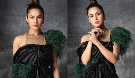 Shehnaaz Gill Photoshoot For Dabboo Ratnani Looks Glamorous In A Black