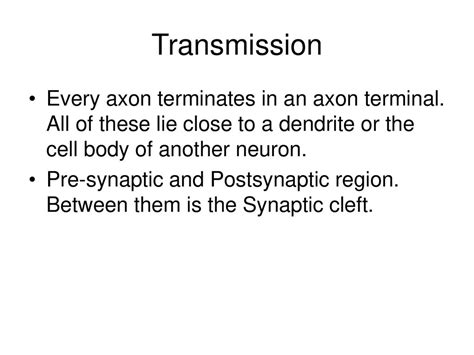 Pns And Transmission February 09 Ppt Download