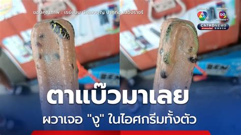 สุดสยอง หนุ่มรีวิวซื้อไอศกรีมรถเร่ ผวาเจอ งู มาเป็นตัว ชาวเน็ตคอมเ