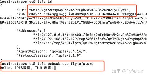 Ipfs Pubsub功能的使用 虚拟主机知识