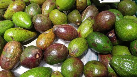 ល្មុតកោះធំ ល្មុតកោះធំ Added A New Photo