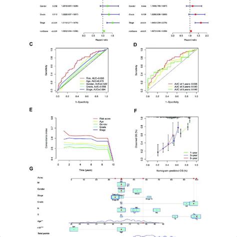 Prognostic Analysis Of Icd Related Lncrnas Univariate A And