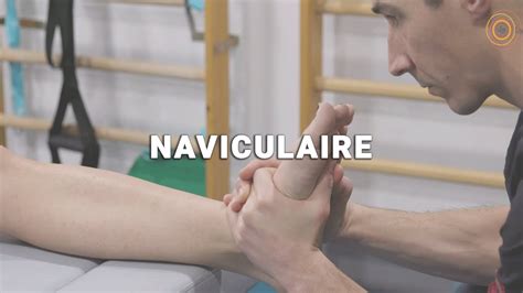 Naviculaire Vidéo 09 2 Youtube