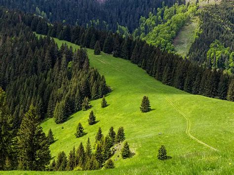 Výstup Na Smrekovicu Ako Som Sa Stratil Pri Hľadaní Na Mape ReŠtartni Sa
