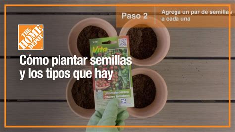Cómo plantar semillas y los tipos que hay Jardín The Home Depot Mx