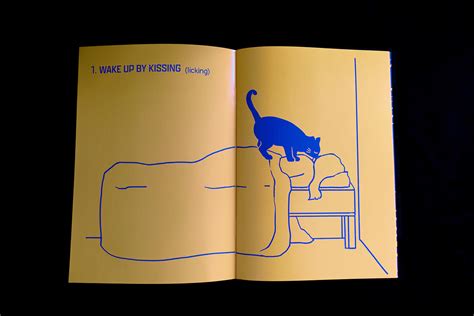 Noches Day Zine Behance