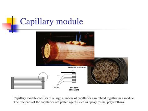 Ppt Membrane Separation Powerpoint Presentation Free Download Id 339318