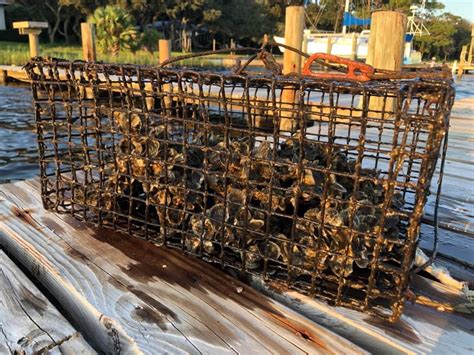Oyster Cage Choctawhatchee Basin Alliance