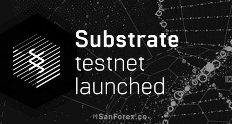 Substrate là gì Ứng dụng Substrate trong công nghệ Blockchain