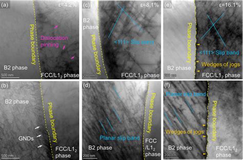 Haddf Stem Micrographs Of The Co 22 V 5 Alloy At Different Strains