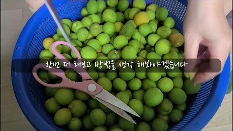 암환자브이로그ㅣ매실청 이렇게 담궈서 건강도 챙기세요~ㅣ브이로그cancer Diary Daily Vlog Youtube