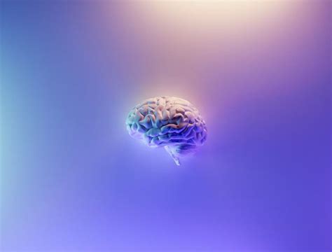 What Is The Brain Of The Computer